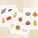 Pumpkin Unit Study, Parts, Life Cycle, Varieties, Worksheets, Fall ...