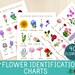 Flower 3-part Cards and Posters 40 Nomenclature Cards 3 - Etsy