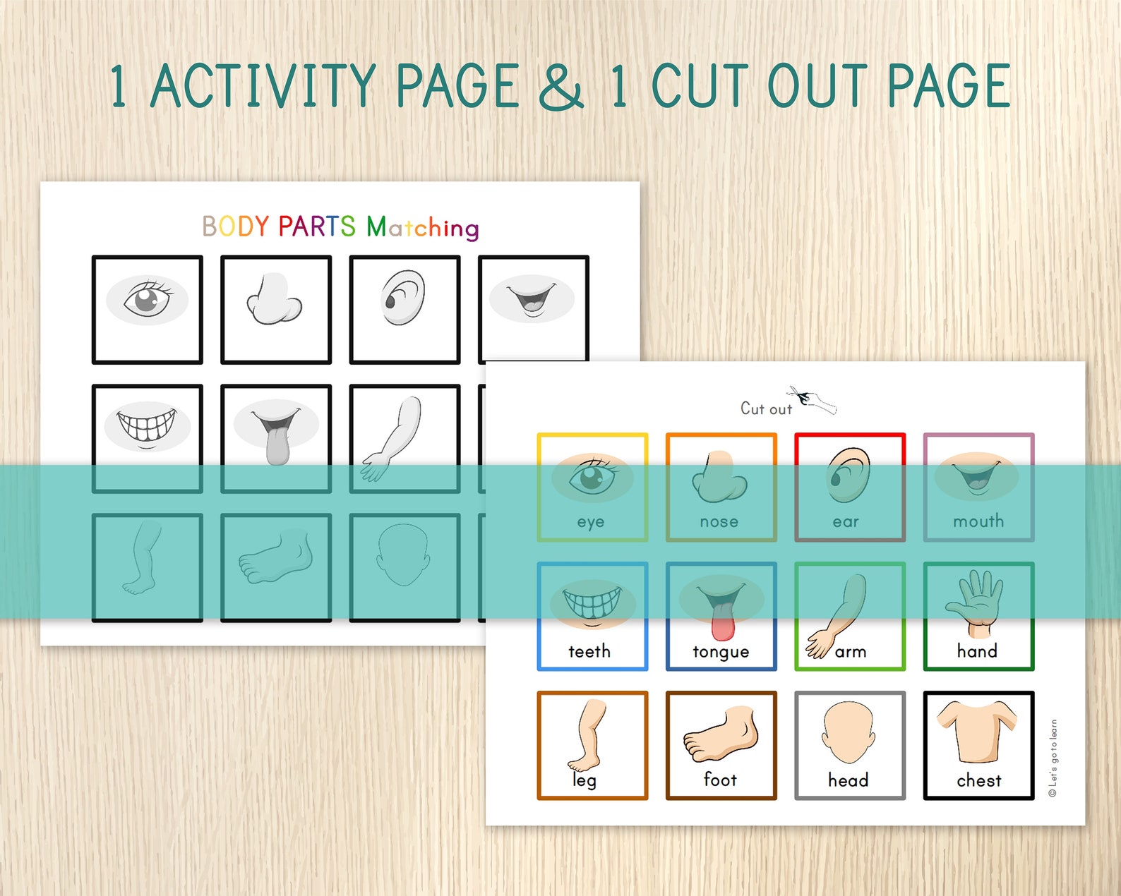 Body Parts Matching Activity for Toddlers, Human Body, Toddler Busy ...
