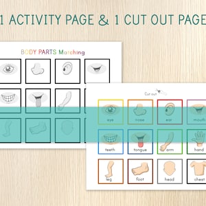 Body Parts Matching Activity for Toddlers, Human Body, Toddler Busy ...