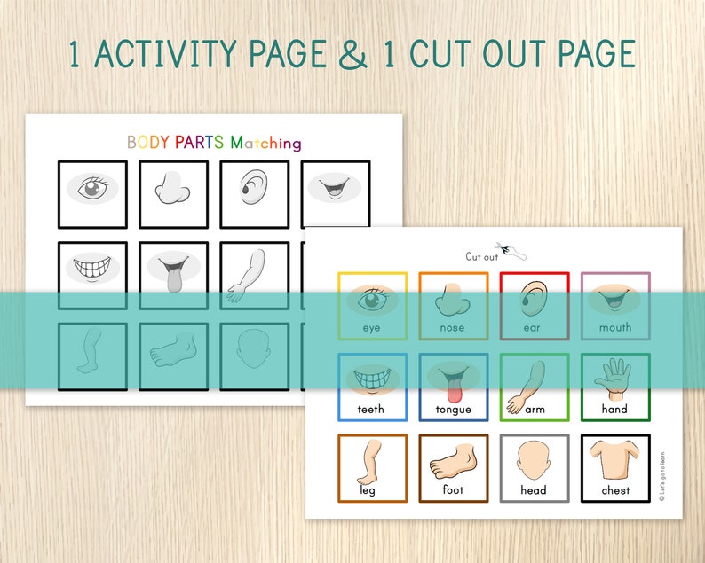 Body Parts Matching Activity for Toddlers, Human Body, Toddler Busy ...
