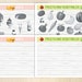 Food Sorting and Matching Activity, Preschool and Kindergarten Activity ...