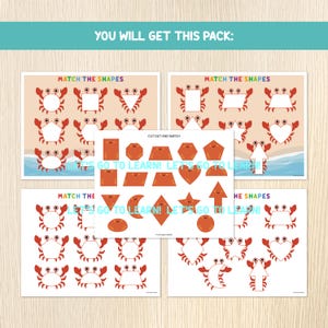 Crab Shape Matching Activity, 2D Shapes, Summer Busy Book Pages ...