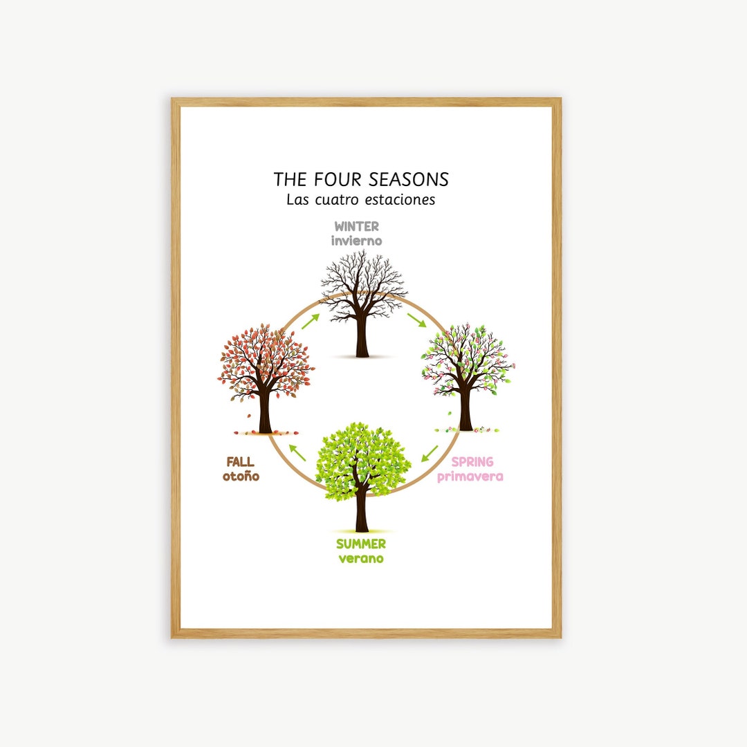 Seasons Poster in English & Spanish, Bilingual Poster, Classroom and ...