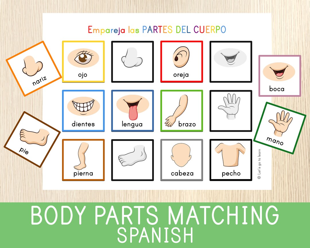 Body Parts Matching Activity IN SPANISH, Human Body, Toddler Busy Book ...