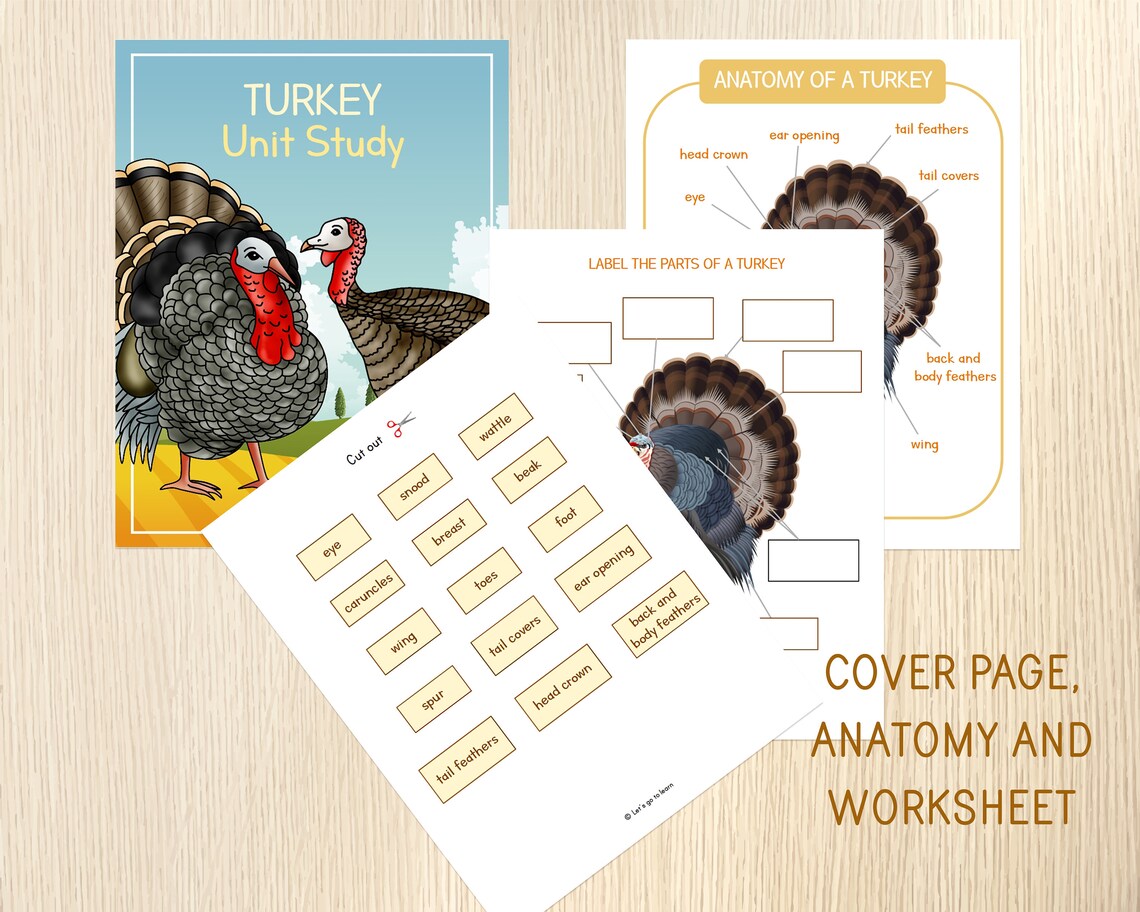 Turkey Unit Study, Anatomy, Life Cycle, Flashcards, Breeds, Worksheets ...