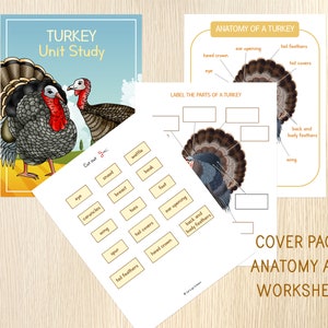 Turkey Unit Study, Anatomy, Life Cycle, Flashcards, Breeds, Worksheets ...