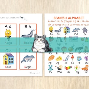 Spanish Alphabet Flashcards & Chart, 27 Cards, 1 Poster, Learn Spanish ...