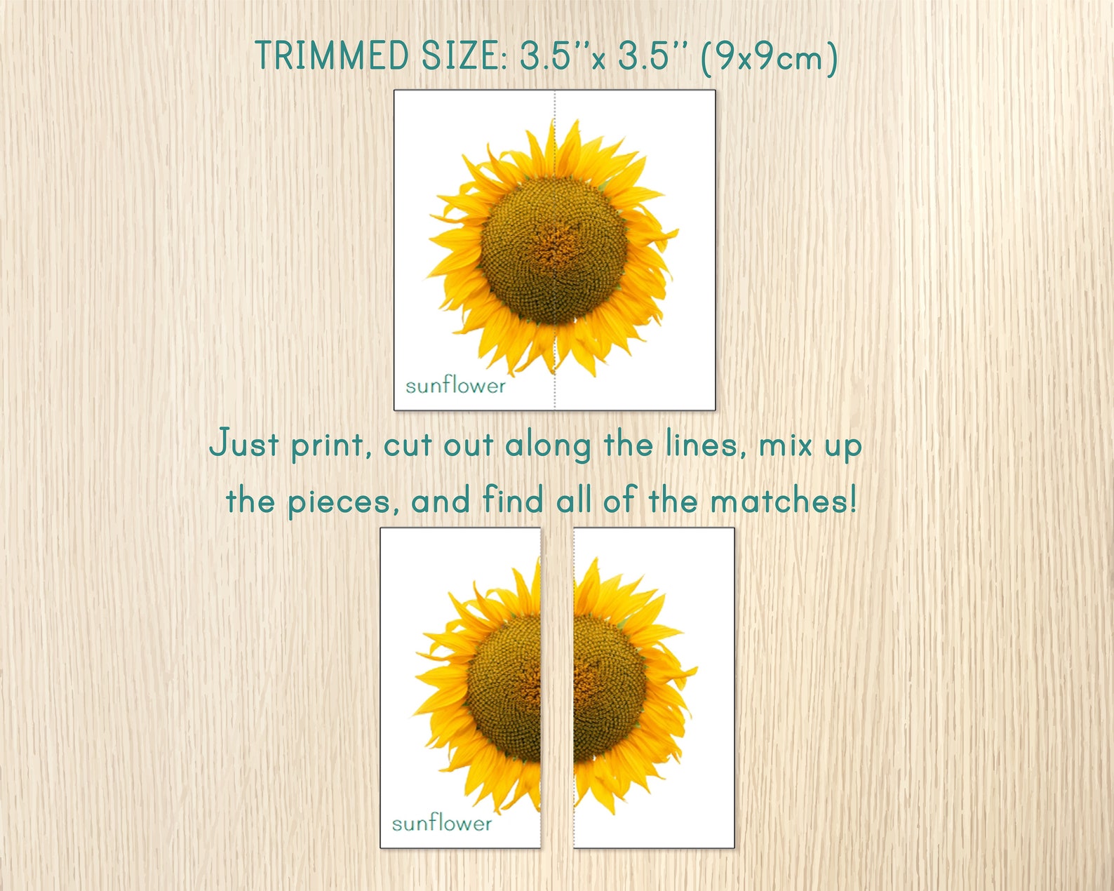 Flower Symmetry Puzzles, Matching Activity, 28 Cards, Toddler Preschool ...