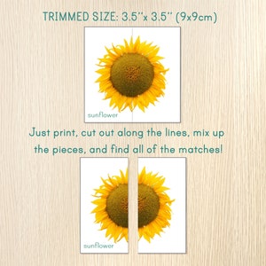 Flower Symmetry Puzzles, Matching Activity, 28 Cards, Toddler Preschool ...