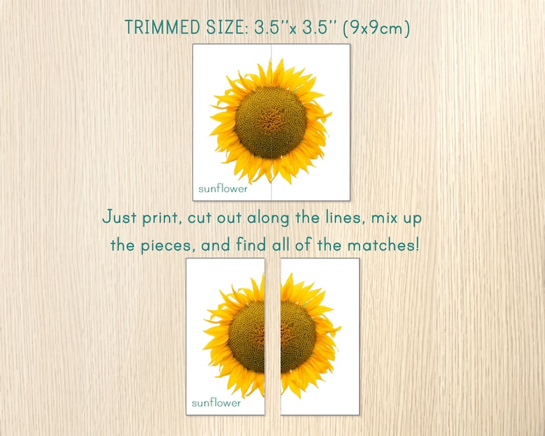 Flower Symmetry Puzzles Matching Activity 28 Cards Toddler - Etsy