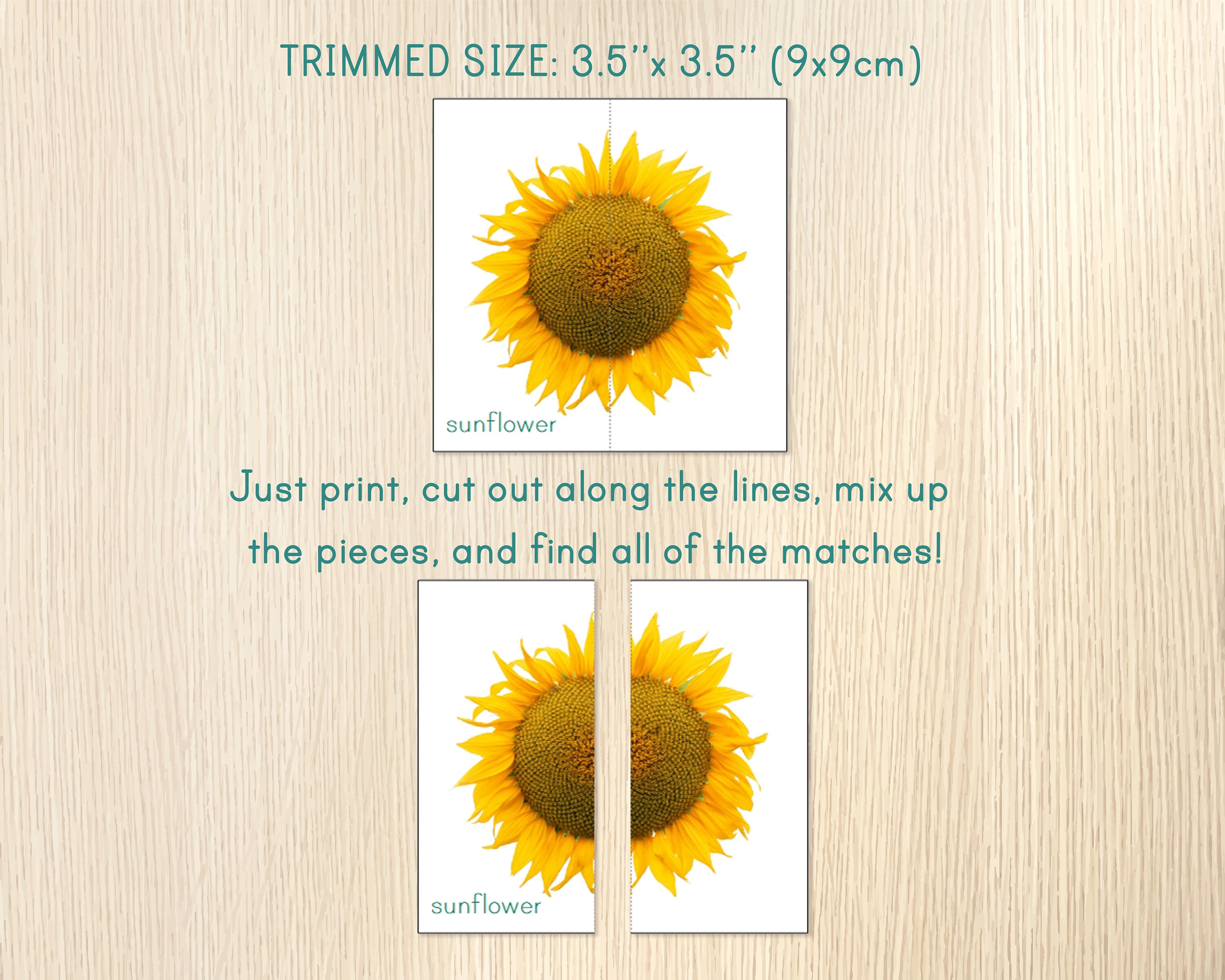 Flower Symmetry Puzzles Matching Activity 28 Cards Toddler - Etsy