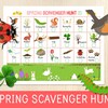 Insect Matching Activity, 30 Insect Puzzles, Symmetry, Kids Puzzles ...