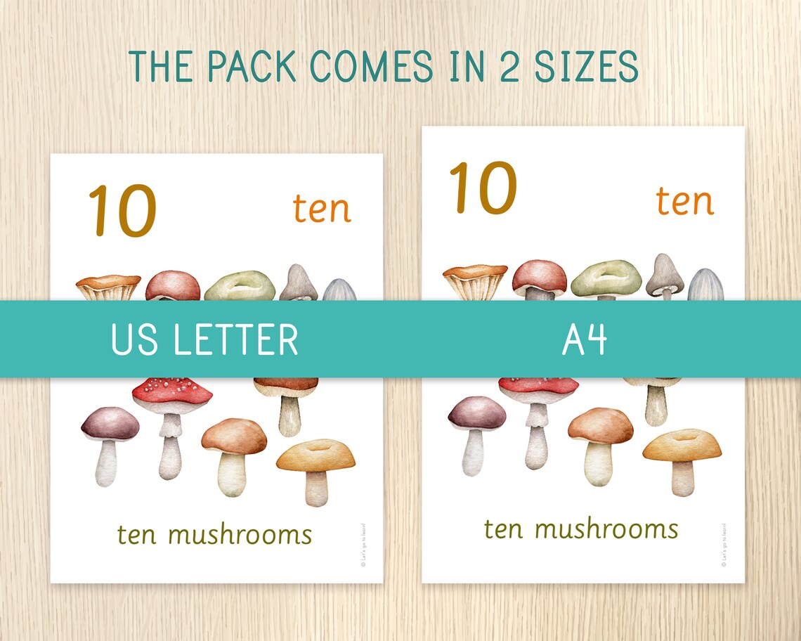 Nature Number Posters, Counting Cards, Numbers 1-20, Home and Classroom ...