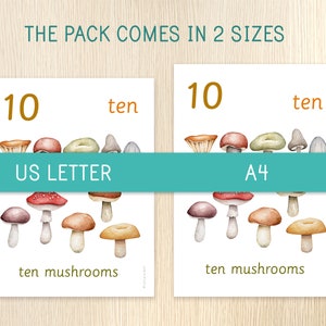 Nature Number Posters, Counting Cards, Numbers 1-20, Home and Classroom ...