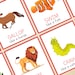 Animal Movement Cards, 40 Cards, Gross Motor Skills, Preschool ...
