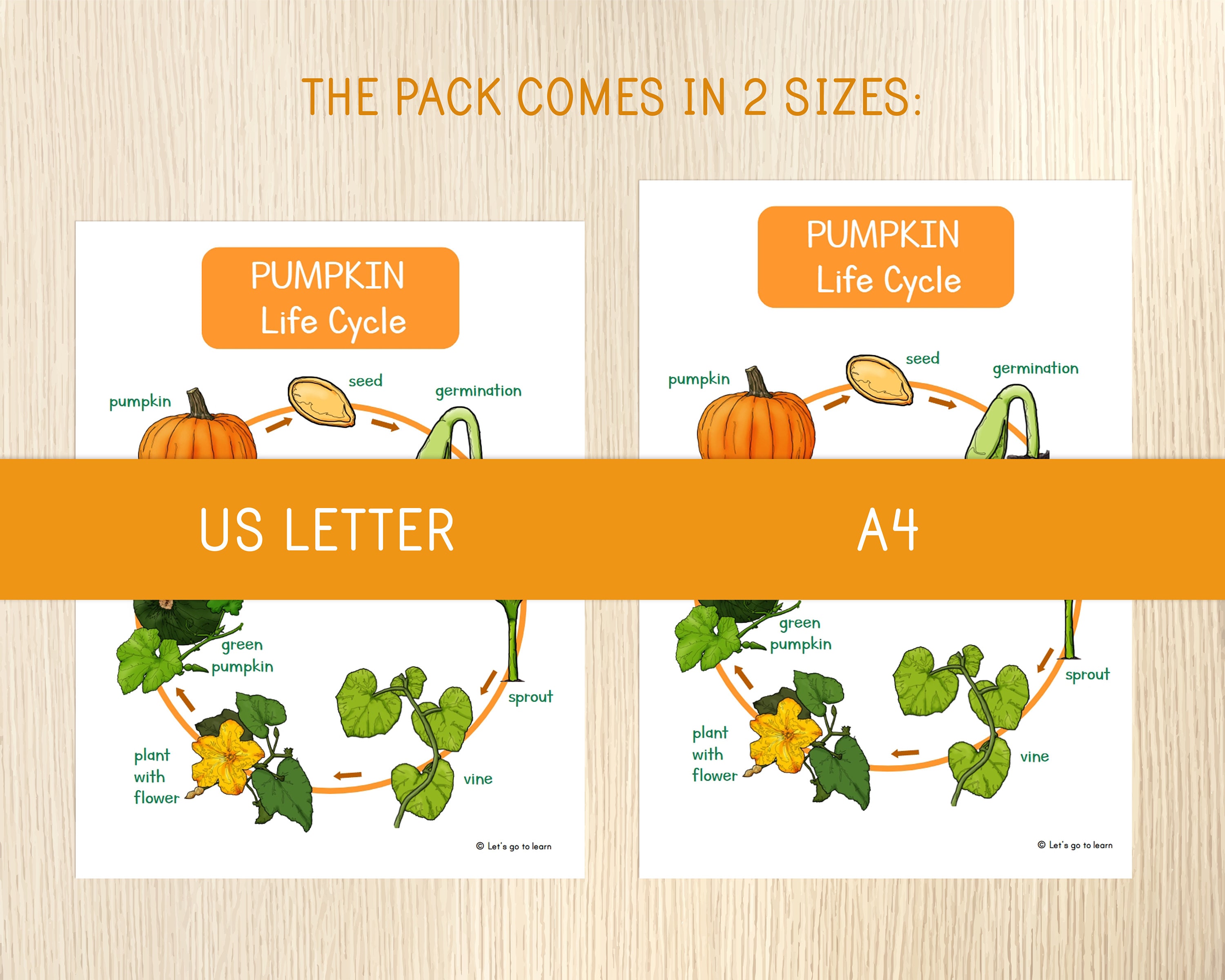 Pumpkin Unit Study Parts Life Cycle Varieties Worksheets - Etsy