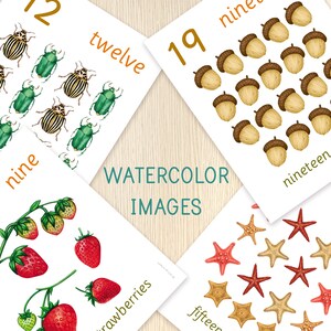 Nature Number Posters, Counting Cards, Numbers 1-20, Home and Classroom ...