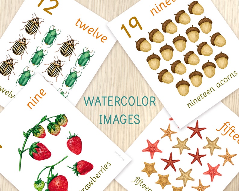 Nature Number Posters Counting Cards Numbers 1-20 Home and - Etsy