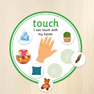 Five Senses Sorting Activity, 5 Senses Classification Game, Preschool ...