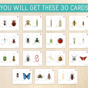 Insect Matching Activity, 30 Insect Puzzles, Symmetry, Kids Puzzles ...