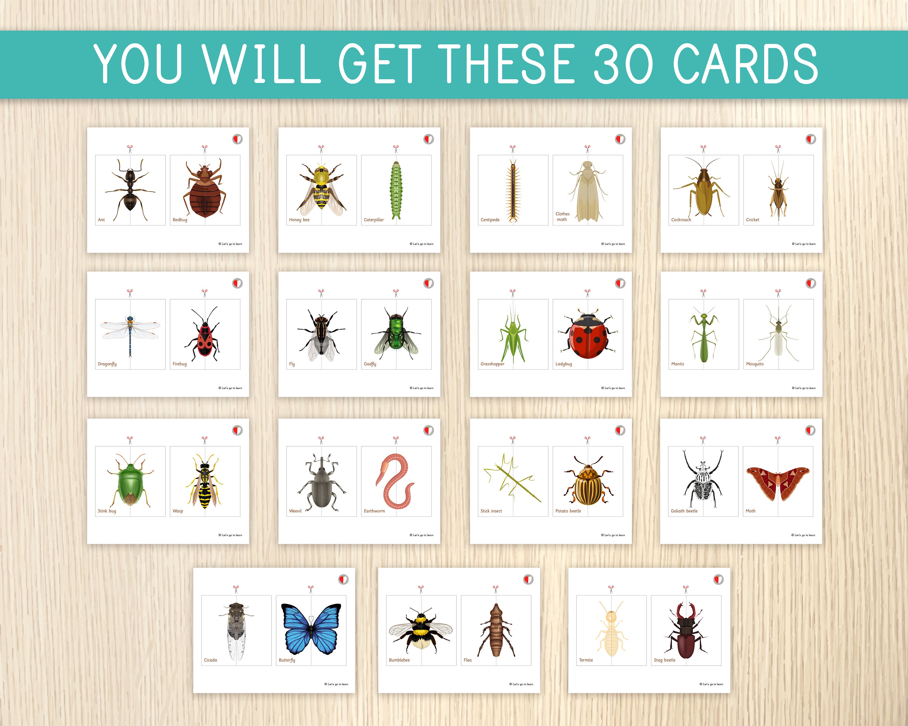 Insect Matching Activity 30 Insect Puzzles Symmetry Kids | Etsy