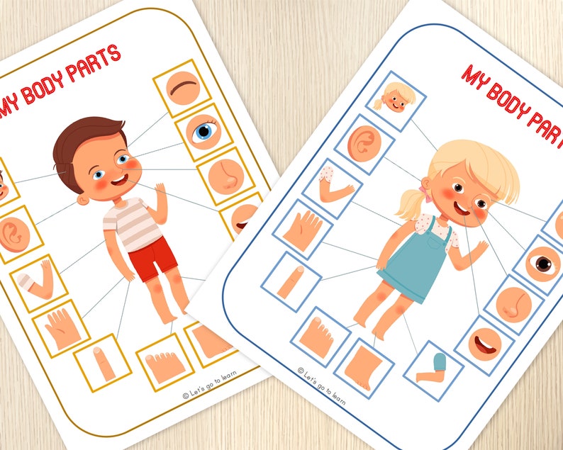 Body Parts Matching Activity Human Body Toddler and - Etsy