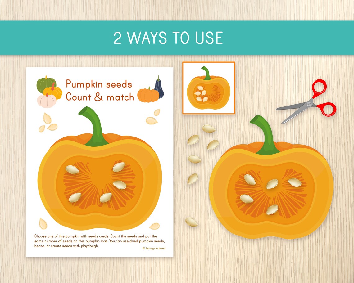 Pumpkin Seeds Count and Match Game Numbers 1-20 Fall - Etsy
