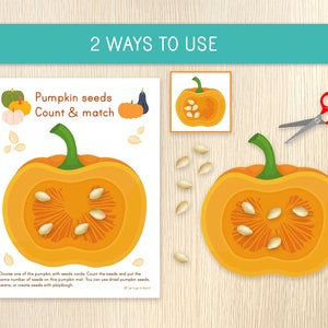 Pumpkin Seeds, Count and Match Game, Numbers 1-20, Fall - Autumn ...