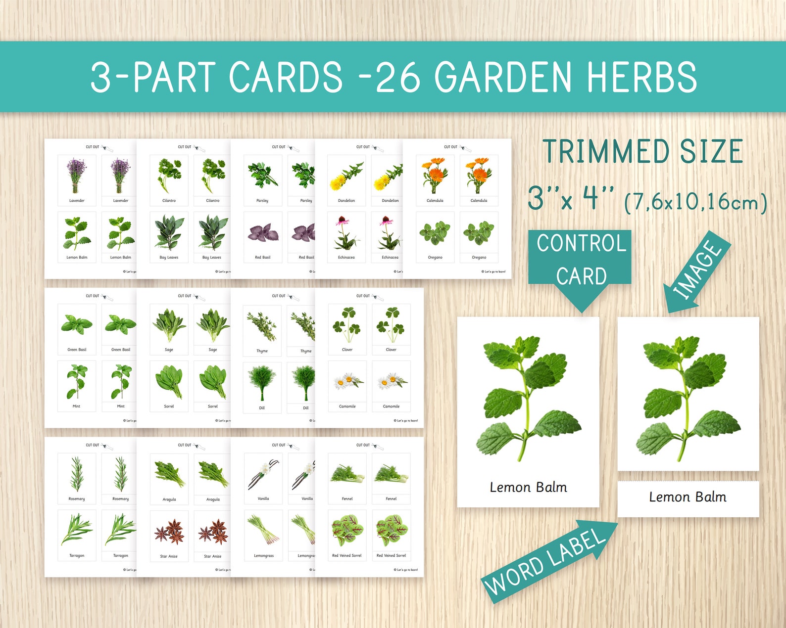 Garden Herbs BUNDLE 26 Herbs Flashcards 3-part Cards - Etsy