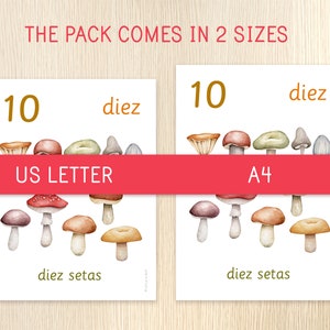 Spanish Nature Number Posters, Charts or Cards - 1 to 20, Counting ...