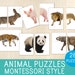 Flower Symmetry Puzzles, Matching Activity, 28 Cards, Toddler Preschool ...