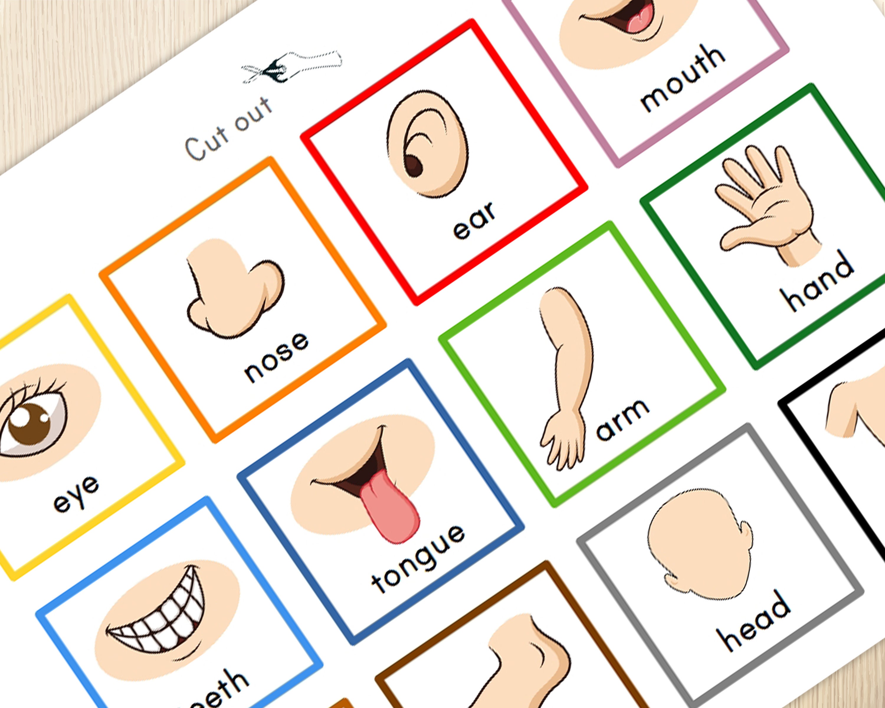 Matching Body Parts Printable
