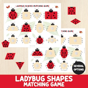 Ladybug Shapes Matching Activity, 2D Shapes Game, Spring Summer ...