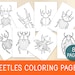 Beetles Coloring Pages, 8 Printable Sheets, Insects, Nature Study ...