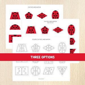 Ladybug Shapes Matching Activity, 2D Shapes Game, Spring Summer ...
