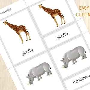 African Animals 3-part Cards - Nomenclature Cards - Africa Unit Study ...