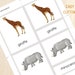 African Animals 3-part Cards - Nomenclature Cards - Africa Unit Study ...
