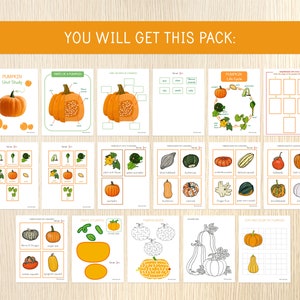 Pumpkin Unit Study, Parts, Life Cycle, Varieties, Worksheets, Fall ...