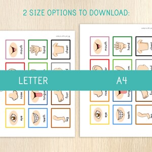 Body Parts Matching Activity for Toddlers, Human Body, Toddler Busy ...