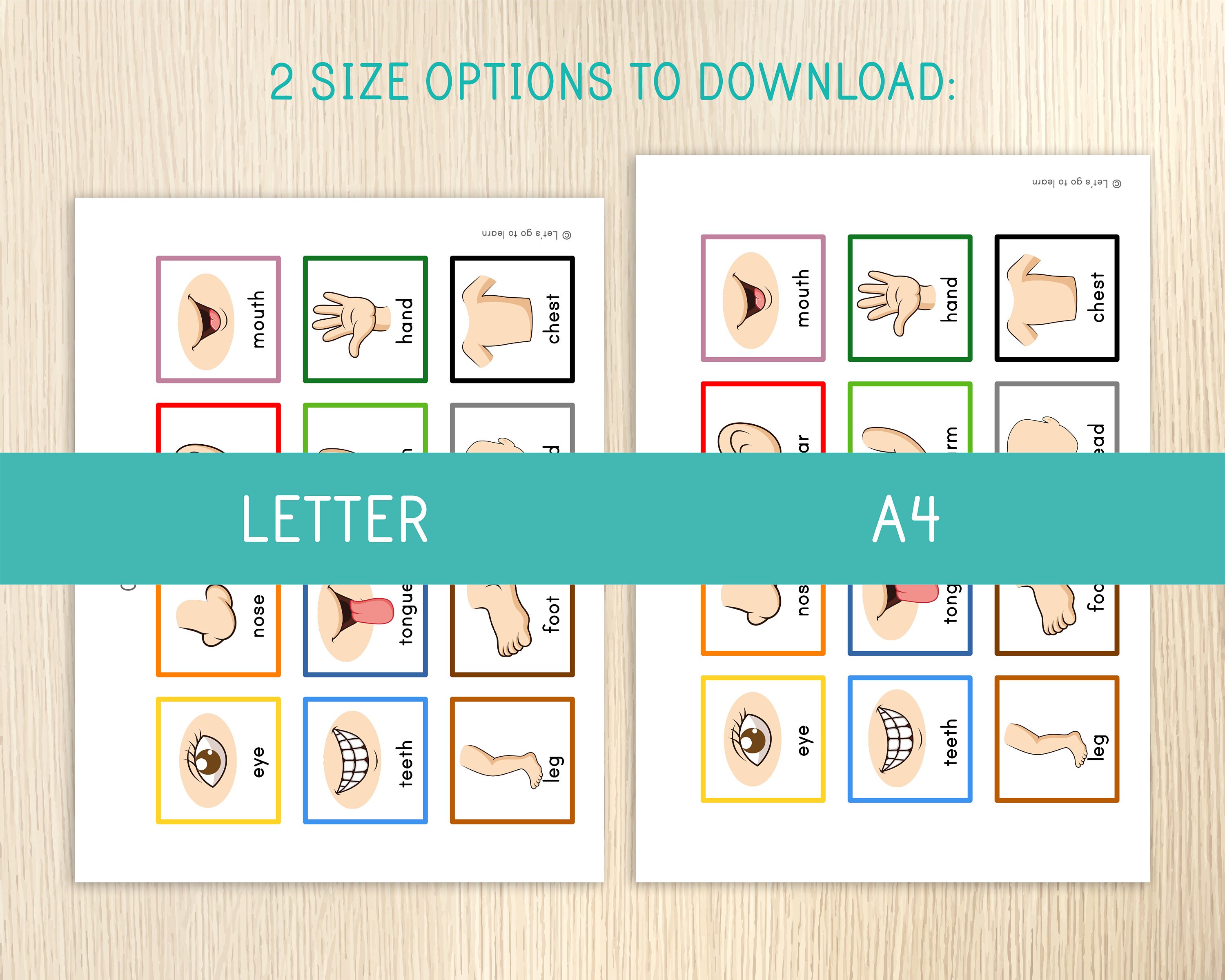 Body Parts Matching Activity for Toddlers, Human Body, Toddler Busy ...