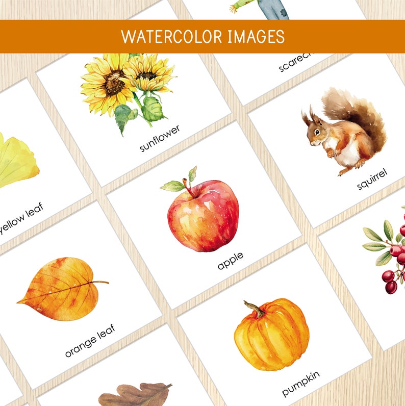 Fall Memory Game, Autumn Matching Activity, Fall Vocabulary, Visual ...