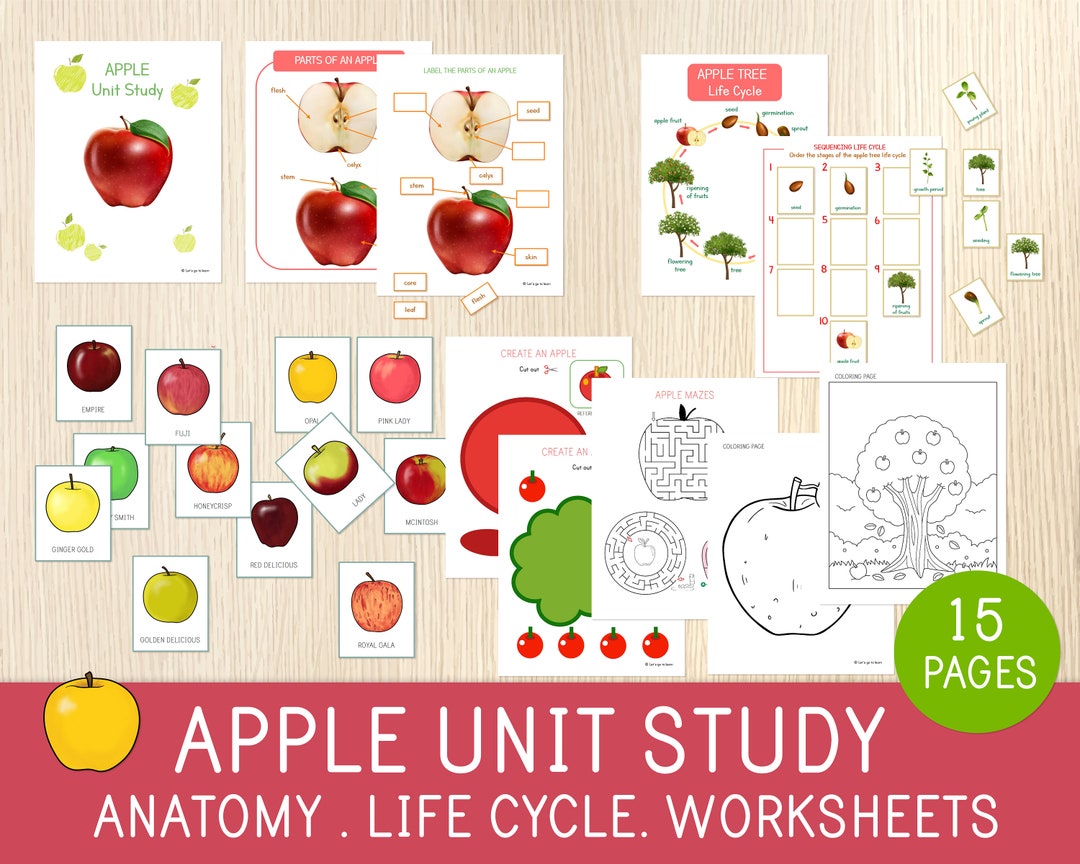 Apple Unit Study, Life Cycle, Apples Varieties, Apple Parts, Fall ...