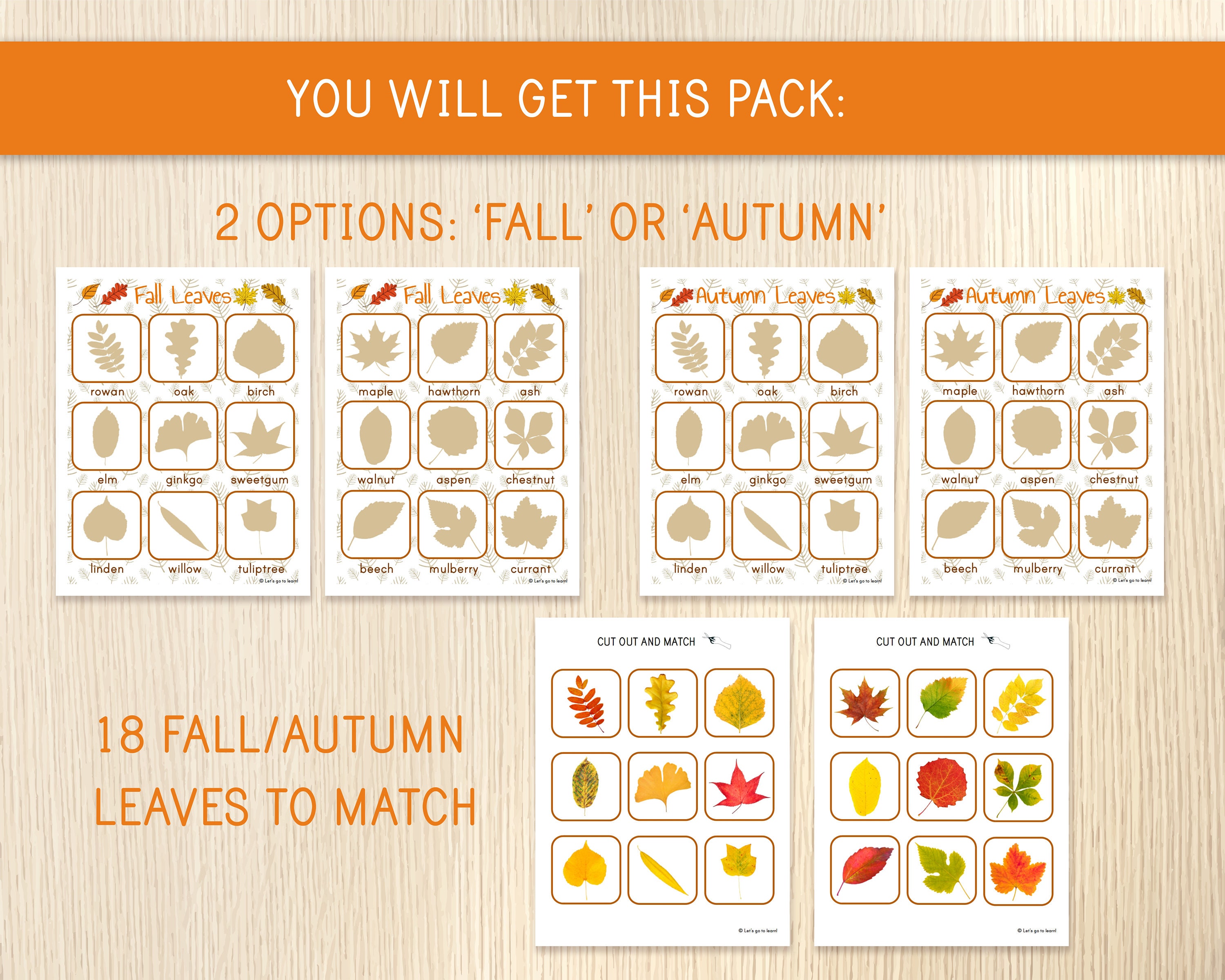 Fall Leaf Matching Activity, Autumn Leaves, Shadow Matching Game ...