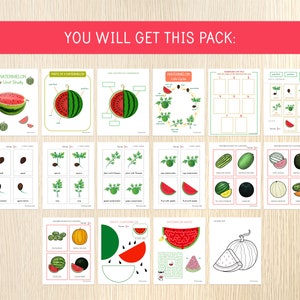Watermelon Unit Study, Parts, Life Cycle, Varieties, Worksheets ...