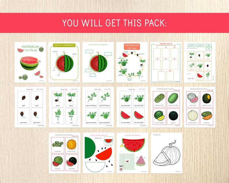 Watermelon Unit Study Parts Life Cycle Varieties - Etsy