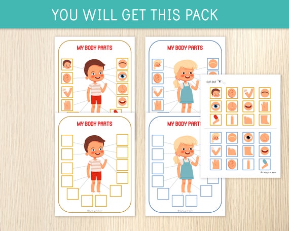 Feuilles De Travail Sur Les Parties Du Corps Pour Les Enfants