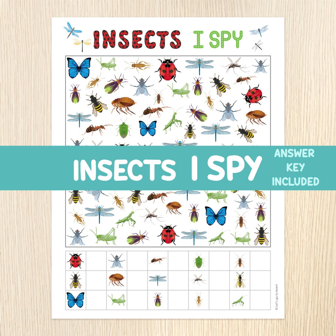 Insects I Spy - Bug Counting Activity - Seek & Find Printable Game ...
