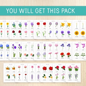 Flower 3-part Cards - Nomenclature Cards - Montessori Cards - 40 Flower ...