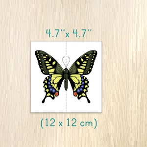 Butterfly Matching Activity, Butterfly Puzzles, Symmetry, Kids Puzzles ...